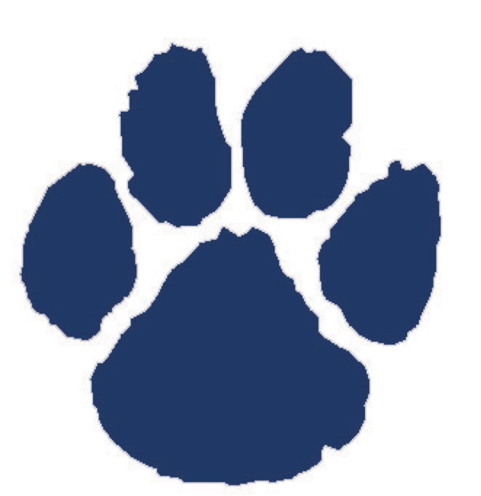 Trinity Presbyterian Wildcats vs Prattville Lions - Baseball - Mar 15, 2025