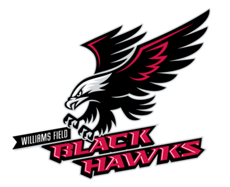 Desert Ridge vs Williams Field - Basketball - Jan 12, 2026