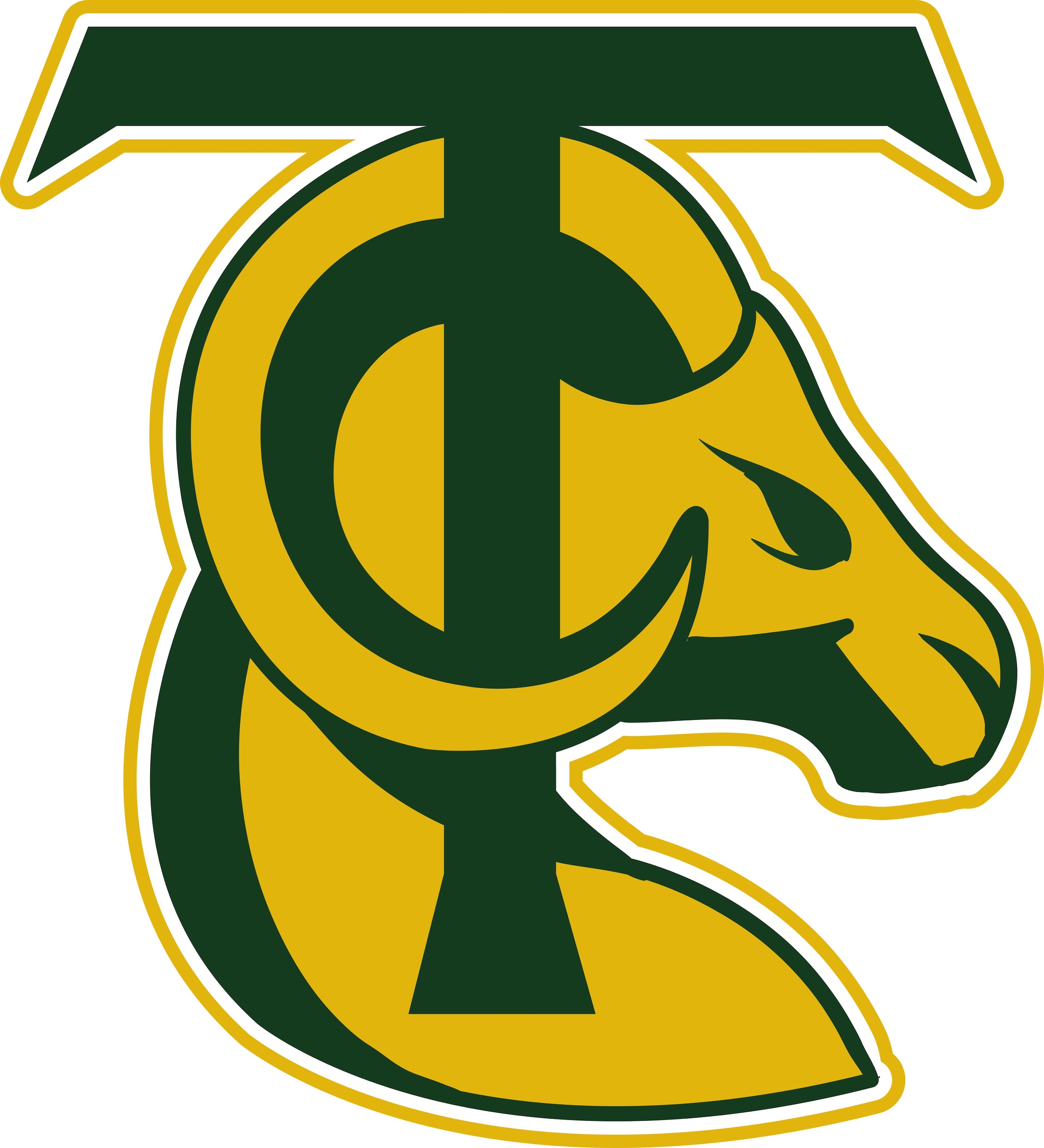 Temple City Rams vs Don Bosco Technical Tigers-Friday Night Lights ...