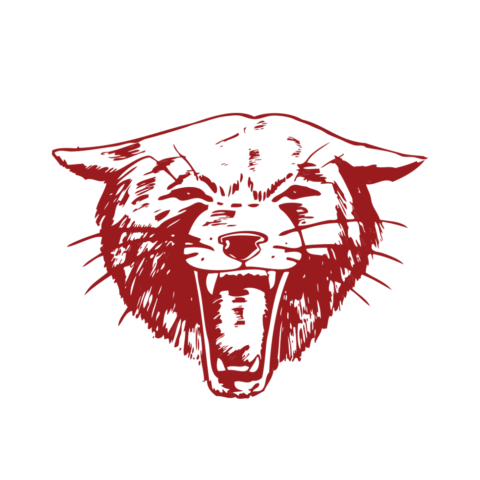 Paso Robles Bearcats vs Lompoc Braves - Football - Nov 1, 2024