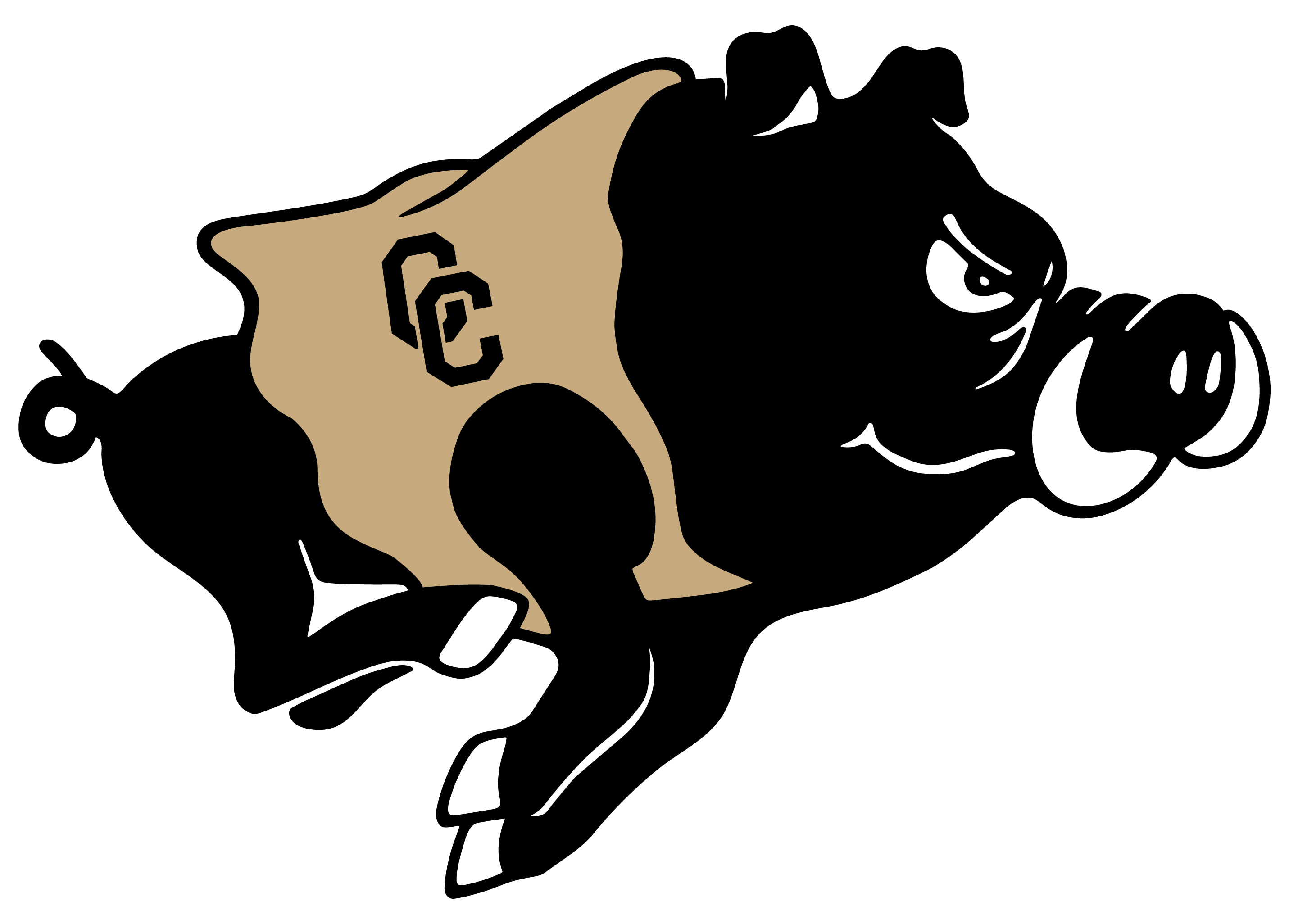 Colquitt County Packers vs Lowndes Vikings - Basketball - Jan 21, 2025