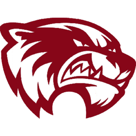 Union Grove Wolverines vs Eagle'S Landing Golden Eagles - Basketball ...