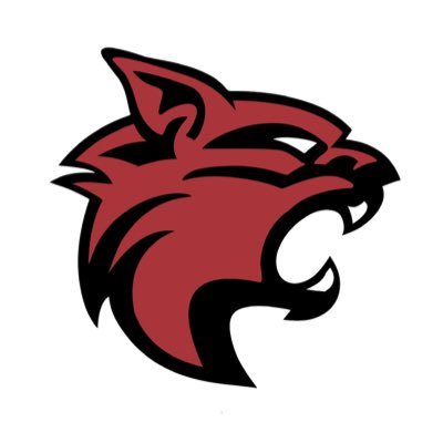 Lake View Wildcats vs Chicago Academy - Basketball - Dec 19, 2024