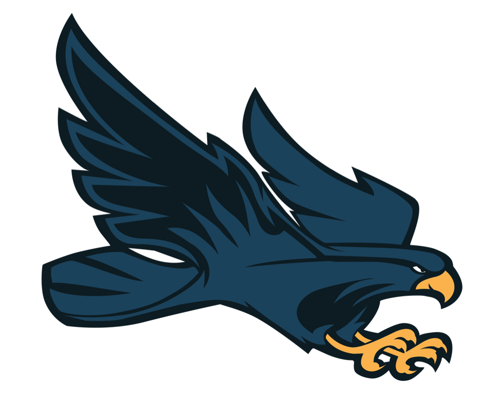 Hanover Hawks vs Old Rochester Regional Bulldogs - MIAA Boys Division 4 ...