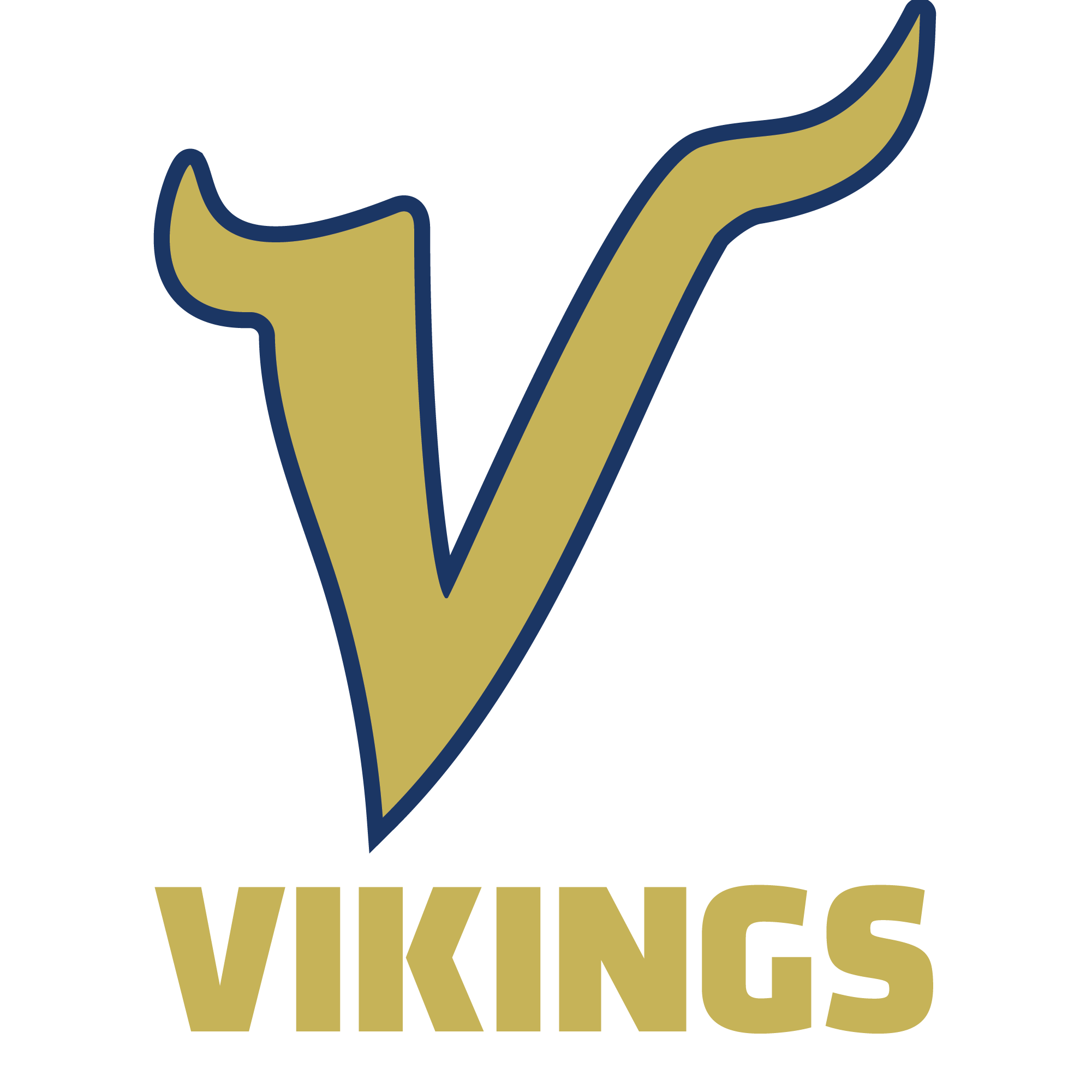 GoFan - The largest high school ticketing solution in the U.S.