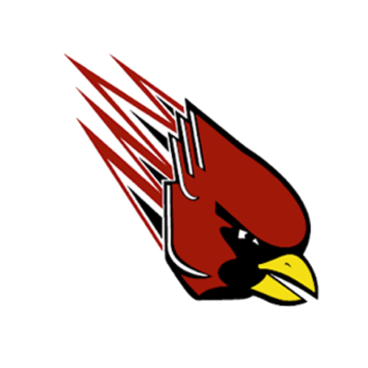 Bloomingdale Cardinals vs Decatur Raiders - Baseball - May 8, 2025
