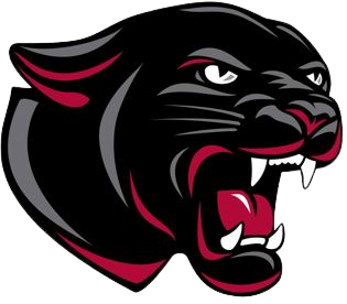 Parchment Panthers vs Hackett Catholic Central Fighting Irish ...