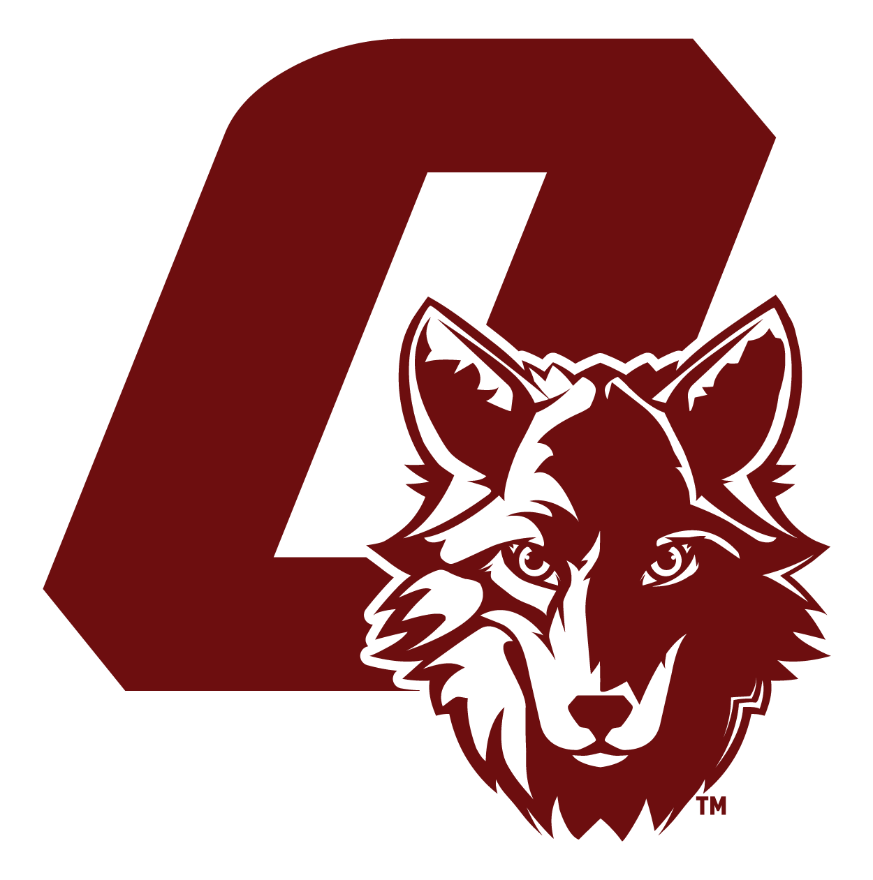 Okemos Wolves vs Holt Rams - Football - Sep 26, 2025