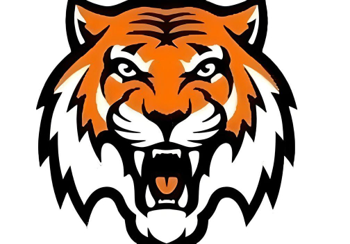Benton Harbor Tigers vs Coloma Comets - Basketball - Feb 19, 2025