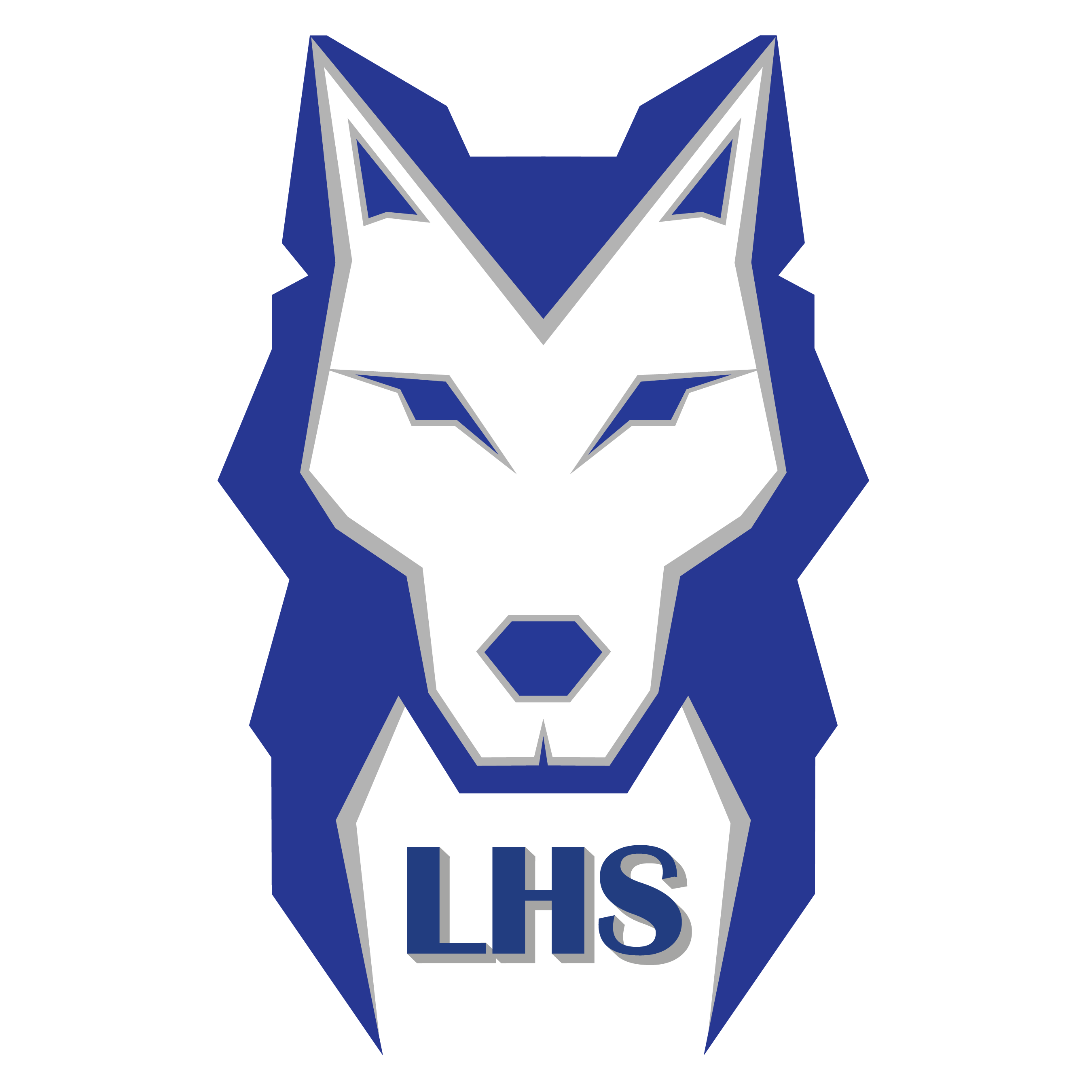 MHSAA Football Regional 8 St Clair Shores Lakeview vs. Birmingham ...