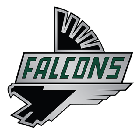 Faribault Falcons vs Stewartville Tigers - Football - Oct 3, 2025