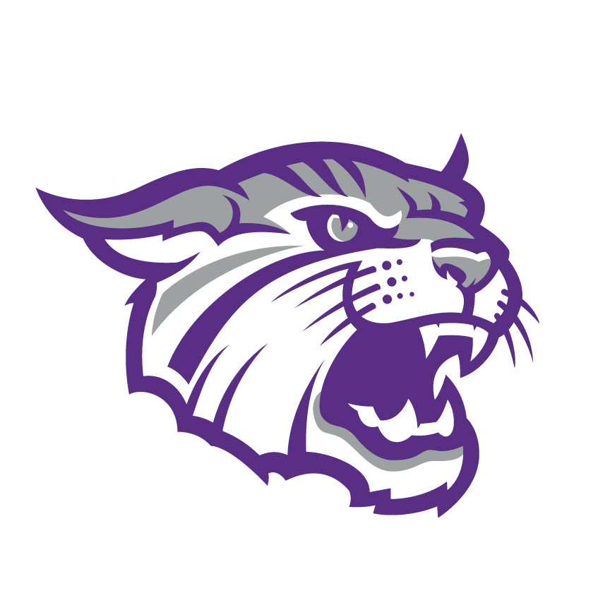 Goodhue Wildcats vs Byron Bears - Basketball - Feb 14, 2025