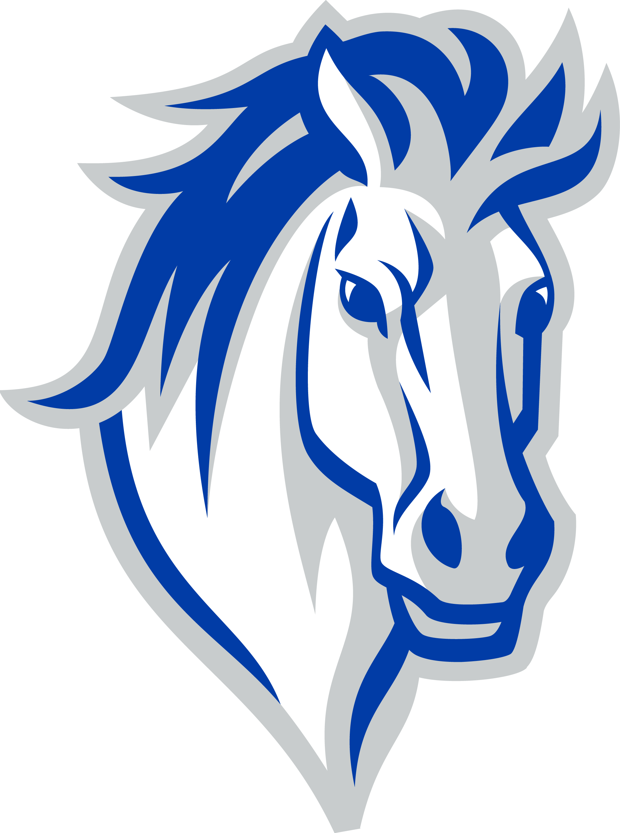 Mora Mustangs vs Proctor Rails - Football - Oct 16, 2024