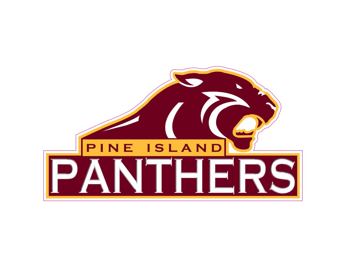 Pine Island Panthers vs Dover Eyota Eagles - Basketball - Feb 13, 2025