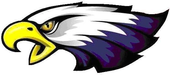 Red Wing Wingers vs River Falls Wildcats - Hockey - Jan 21, 2025