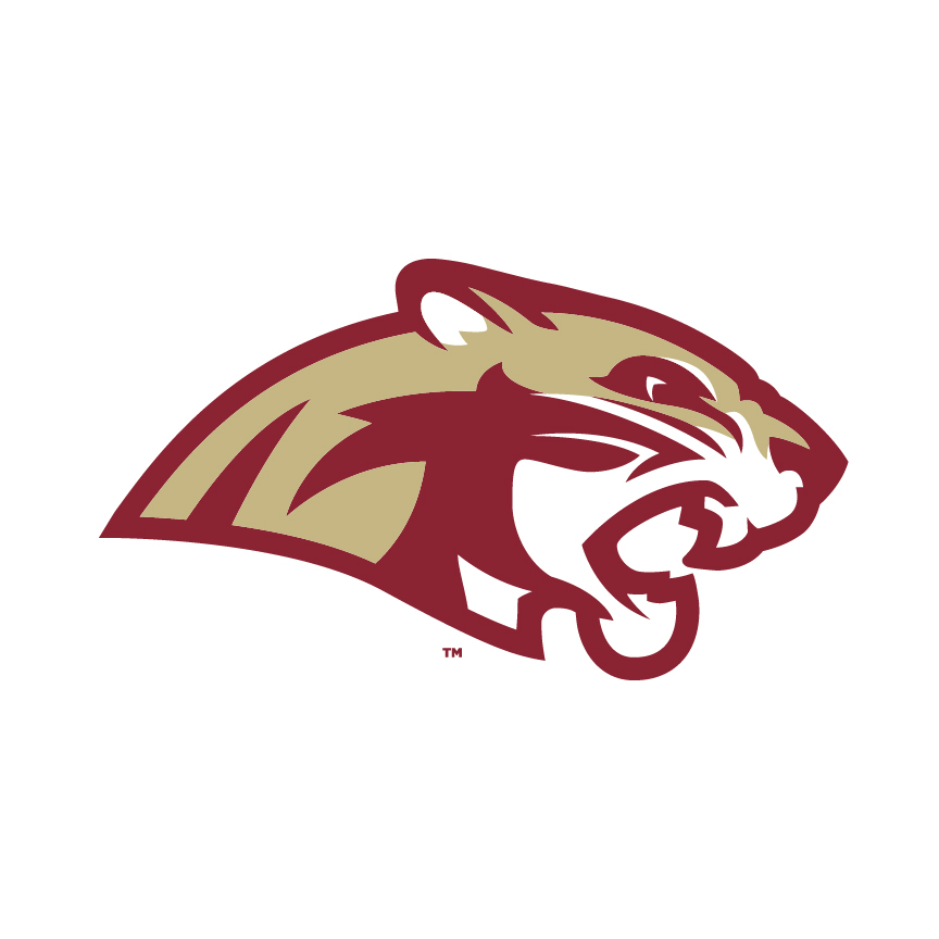 Region 1AA Girls' Hockey - Lakeville South Cougars vs Northfield ...