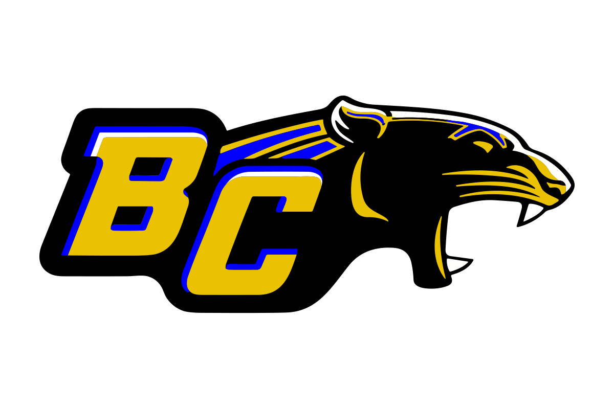 Bay City Blackcats Varsity Football Season Tickets 2025 - Football ...