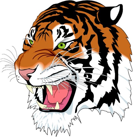 Tabb Tigers vs TBD - Basketball - Feb 21, 2025