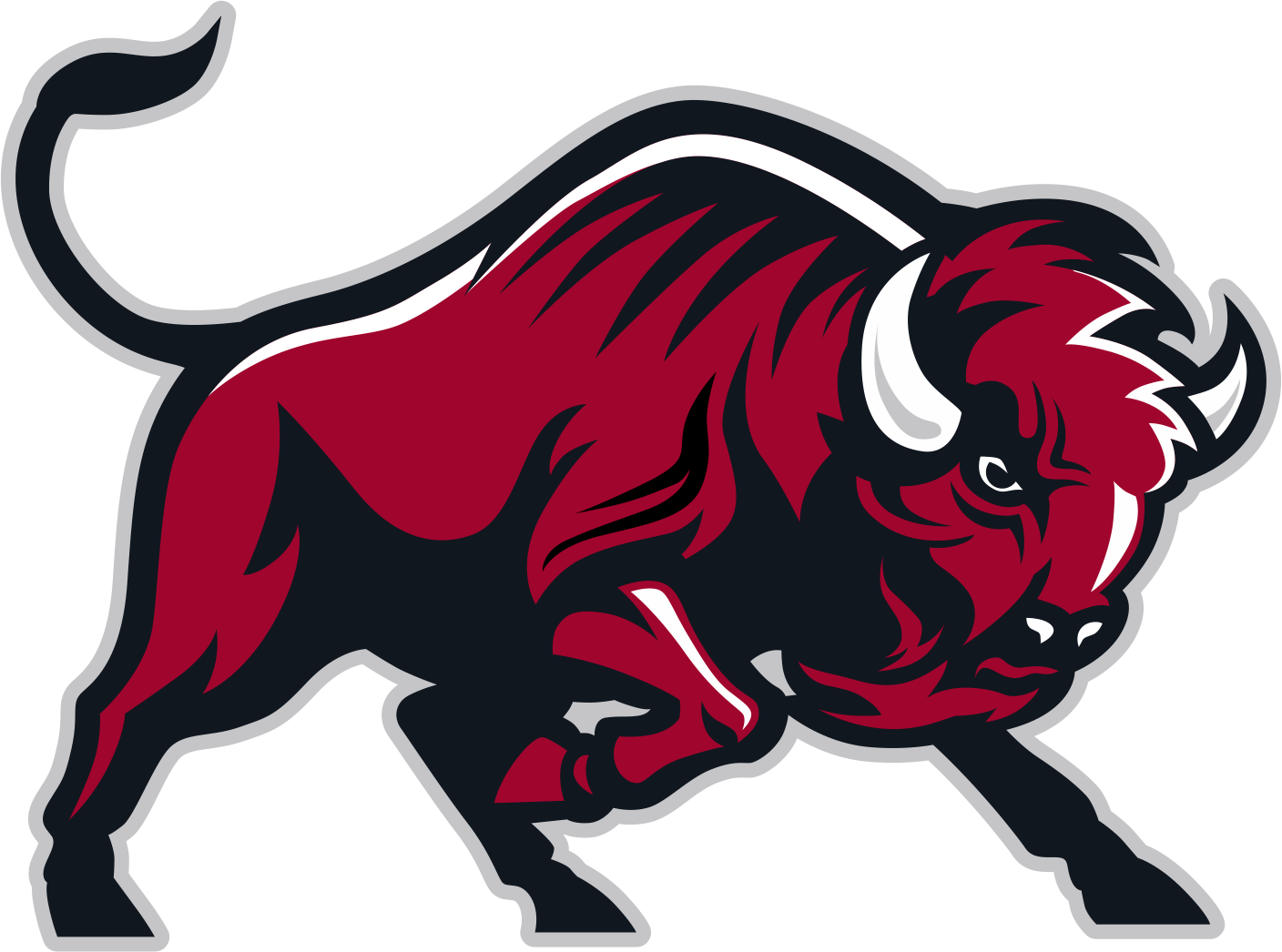 Bethel Bison vs Emerald Ridge Jaguars - Basketball - Jan 9, 2025