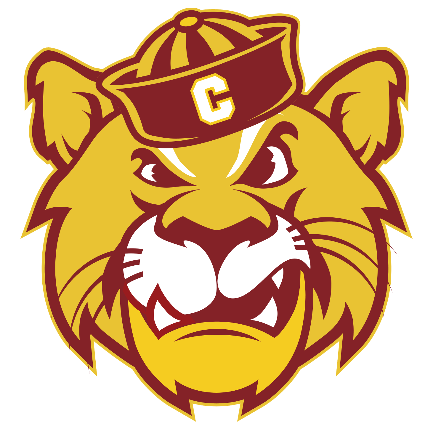 Capital Live to Dance Competition - Drill Team - Feb 22, 2025