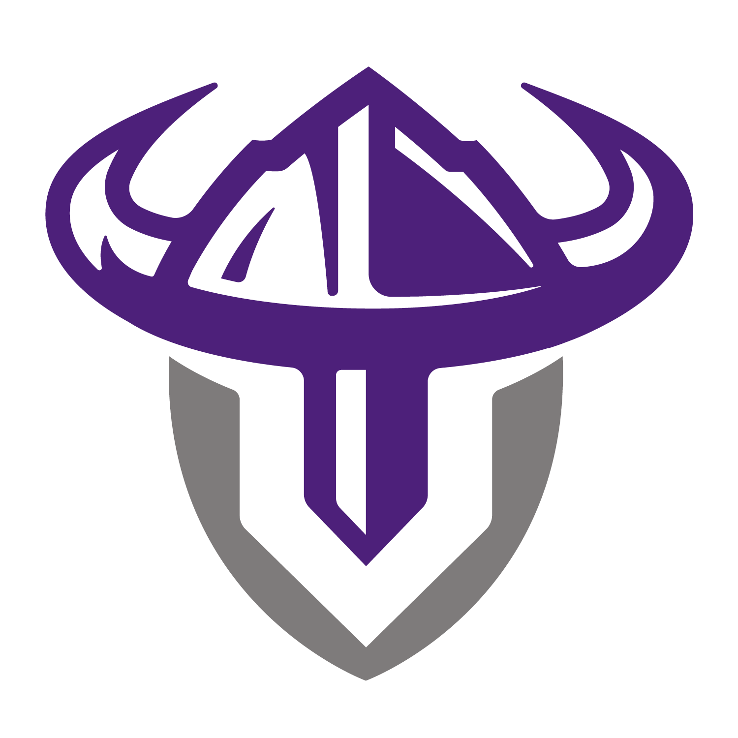 Stoughton Vikings vs Edgewood Crusaders - Basketball - Dec 15, 2023