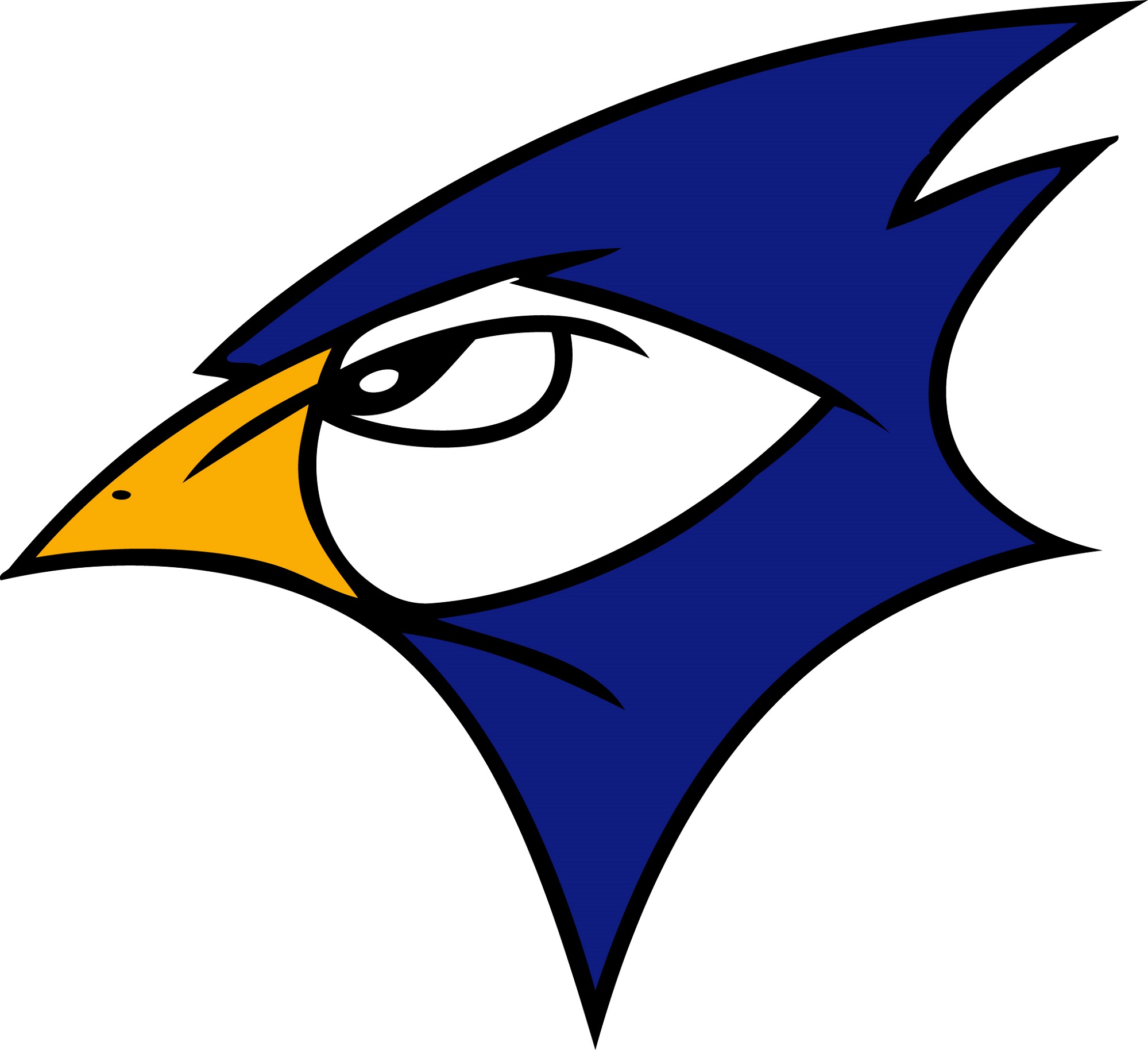 WIAA Regional: Johnson Creek Bluejays vs Markesan Hornets - Volleyball ...