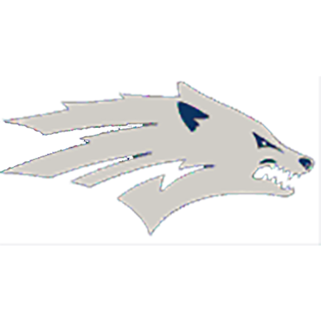 Spring Valley Timberwolves vs Parkersburg South Patriots - Basketball ...